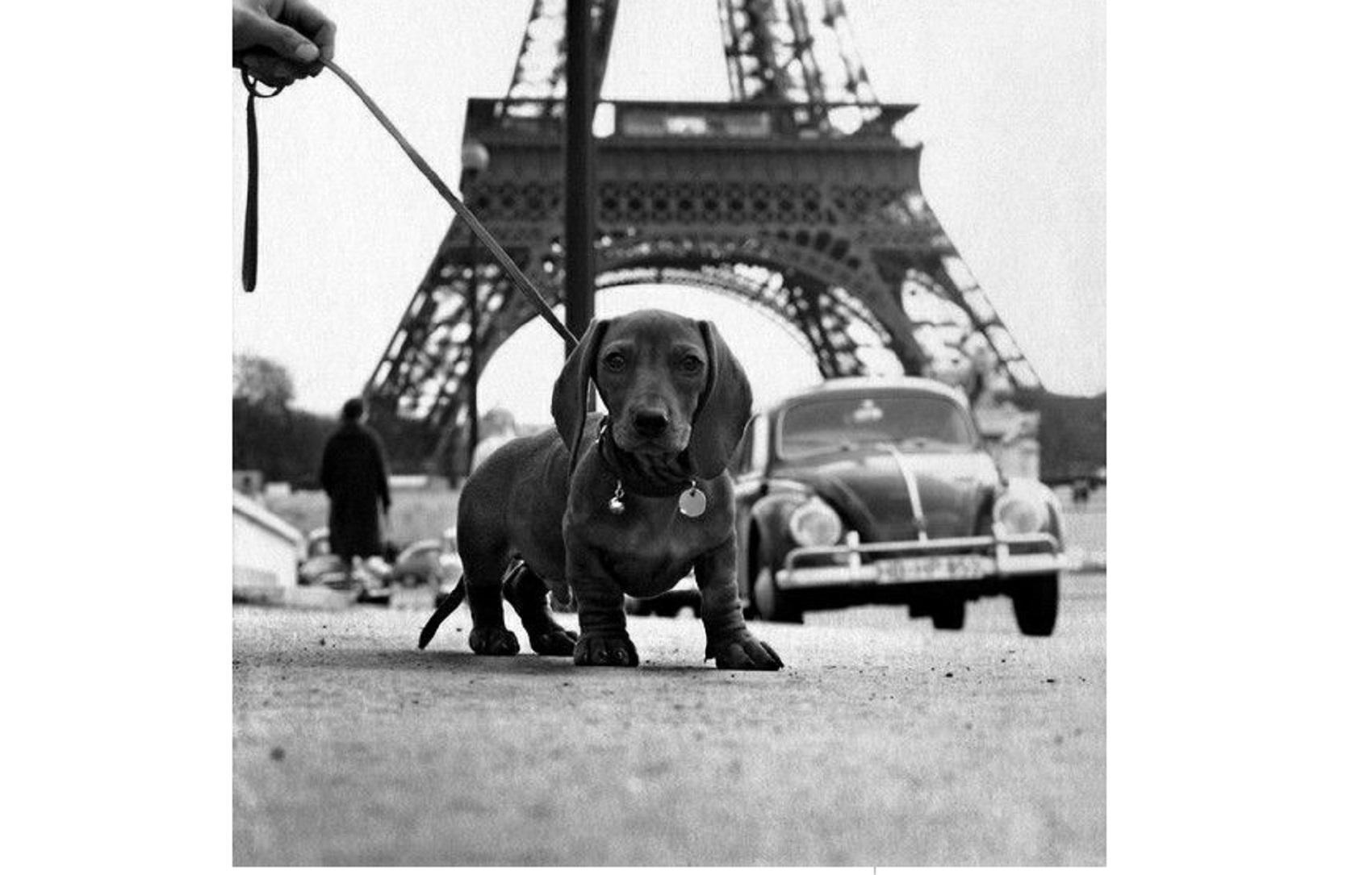 8 Historical Facts About Paris You Didn’t Know
