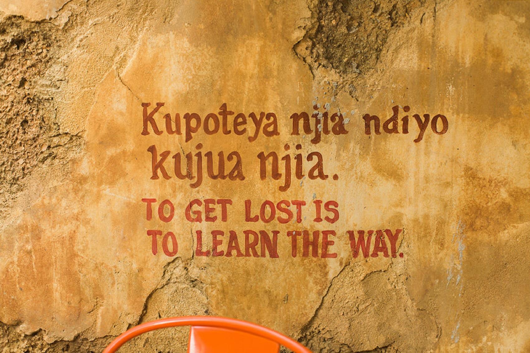 See Walt Disney World as the Bloggers Do | The Guidebook - isango!