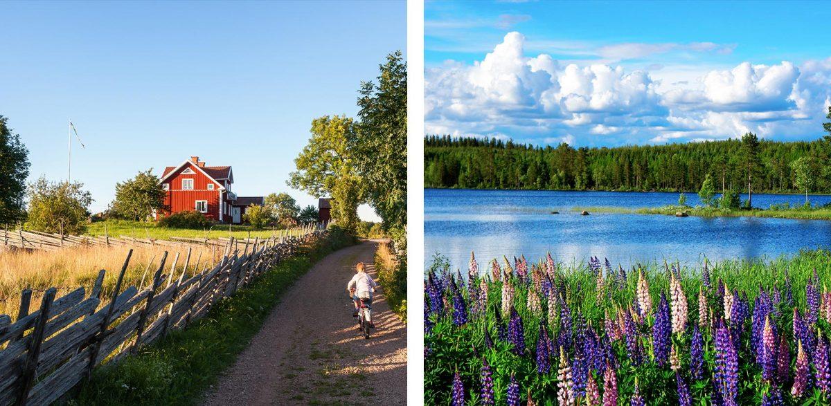 6 Best Road Trips You Should Add To Your Bucket List