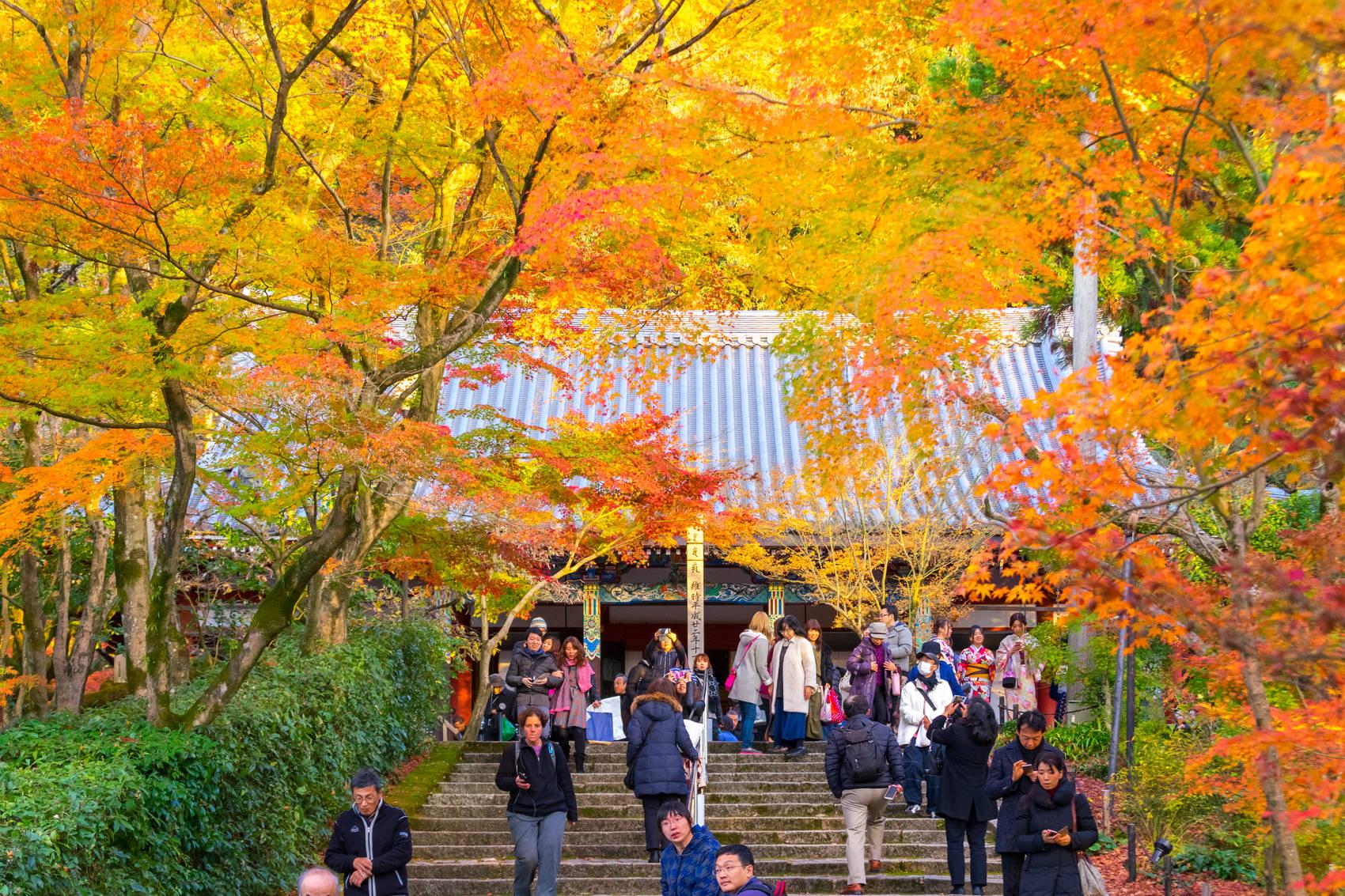 Japan: 4 Best Regions To Witness Autumn