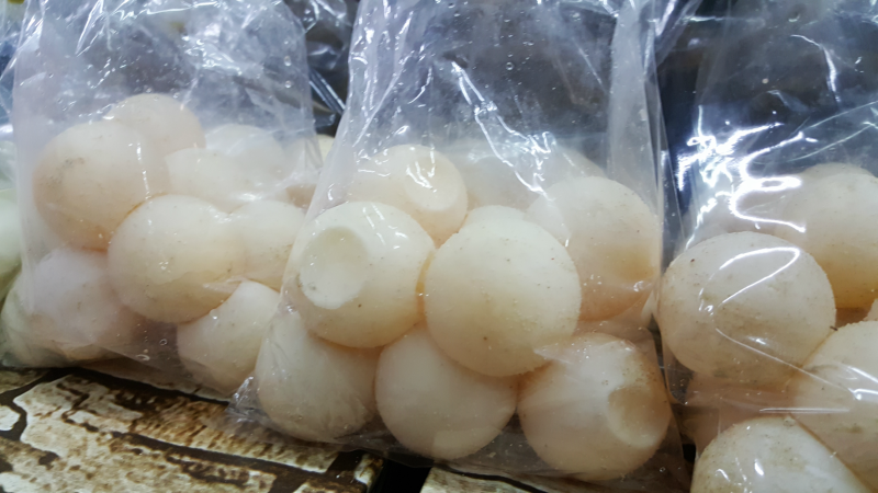 7 Strange Foods You Need to Try in Latin America