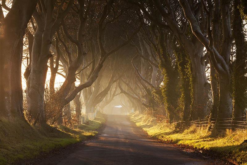 10 Iconic Game Of Thrones Filming Locations You Can’t Miss!