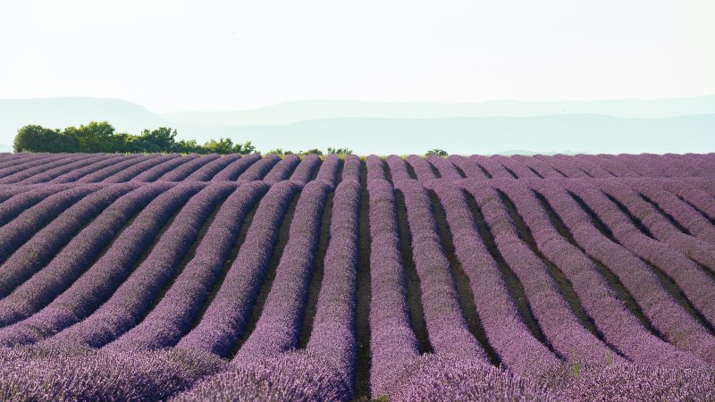 Exploring Beyond the Lavender – Best of Aix-en-Provence