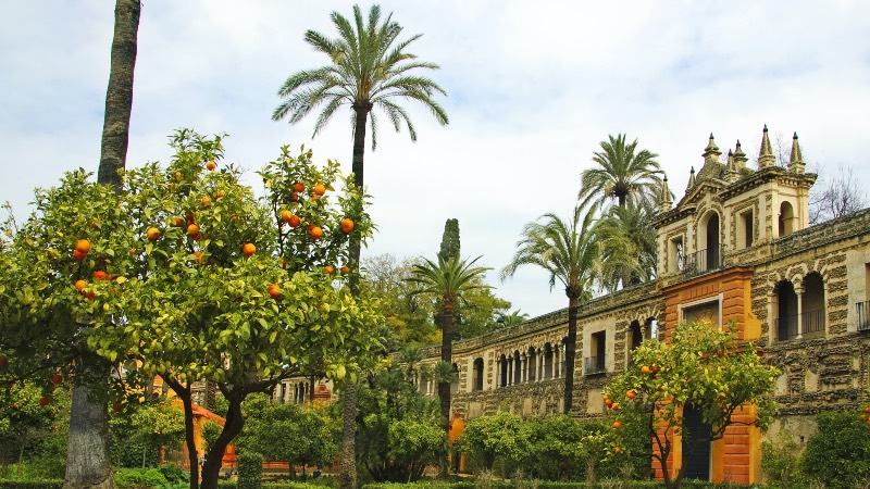 Sevirama Seville Hop-on, Hop-off tour