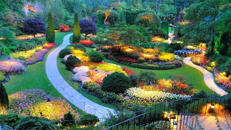 Big Bus Vancouver: Hop-On, Hop-Off Bus